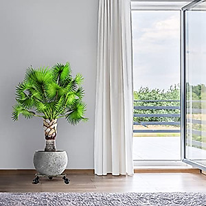 Skelang Cast Iron Plant Caddy 11", Rolling Plant Stand with Locking Wheels, Plant Pot Trolley for Moving and Supporting Heavy Duty Plants, Load Capacity 350 Lbs (Bronze)