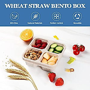 DESLON 4 Pack Snack Containers for Kids Adults, 4 Compartment Bento Snack Box, Reusable Meal Prep Lunch Containers with Compartment, Divided Small Snack Containers Bento Box for Travel Work