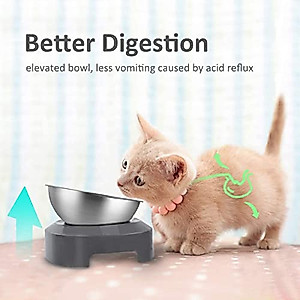 AYADA Raised Cat Food Bowl, Stainless Steel Cat Dish for Food Water Anti Vomiting Elevated with Stand Ergonomic Lifted Slanted Tilted 15 Angle Metal Single Kitty Kitten Wet Food Bowl Pet Bowl (Single)