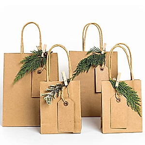 Poever Brown Paper Bags with Handles 5.25x3.75x8 Kraft Paper Bags 50 PCS, Small Gift Bags Shopping Bags Party Bags Goody Bags Grocery Bags Recyclable for Birthday Takeouts