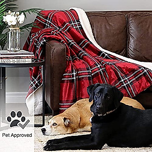 Life Comfort Microfiber Plush Polyester 60"x70" Large All Season Blanket for Bed or Couch Ultimate Sherpa Throw, Red Plaid