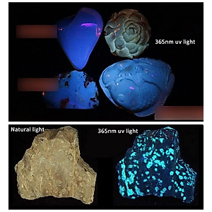 WKDUN C8 365nm 5W UV Flashlight Torch in Leak Detection, Forensics, Law Enforcement, Coating Inspection, Fugitive Glue, Curing, Special Effects, Urine Displays, Exhibits and More Long Version