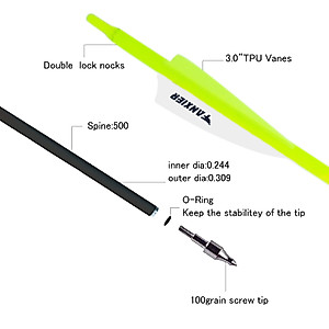 Fanxier 30-Inch Carbon Arrow Hunting Target Practice Arrow，with Quiver, Detachable Tip, Suitable for Compound Bow & Recurve Bows (12 Pcs Arrow + Quiver)