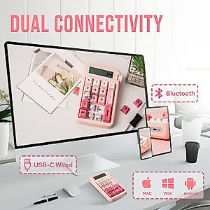 EPOMAKER Cypher 21 Wireless Mechanical Number Pad, 18 Keys Numeric Keypad with Multifunction Knob, Single White Light, NKRO (Pink, Wisteria Linear Switch)