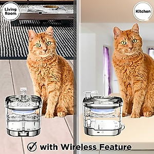 Wireless Rechargeable Cat Water Fountain Cat Drinking Fountain, Super Longer Battery Life, 304 Stainless Steel Basin, Automatic Infrared Sensing, Low Noise, 3 Way Filter System for Pets Indoors