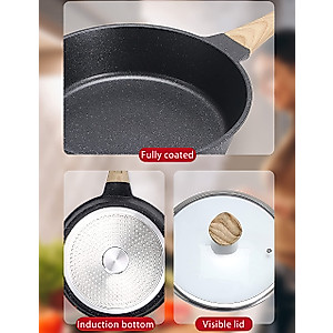 TAMASAKI 11 Inch Nonstick Medical Stone Skillet No Fumes Frying Pan Household Nonstick Cookware Stone-Derived Coating with Glass Lid Black