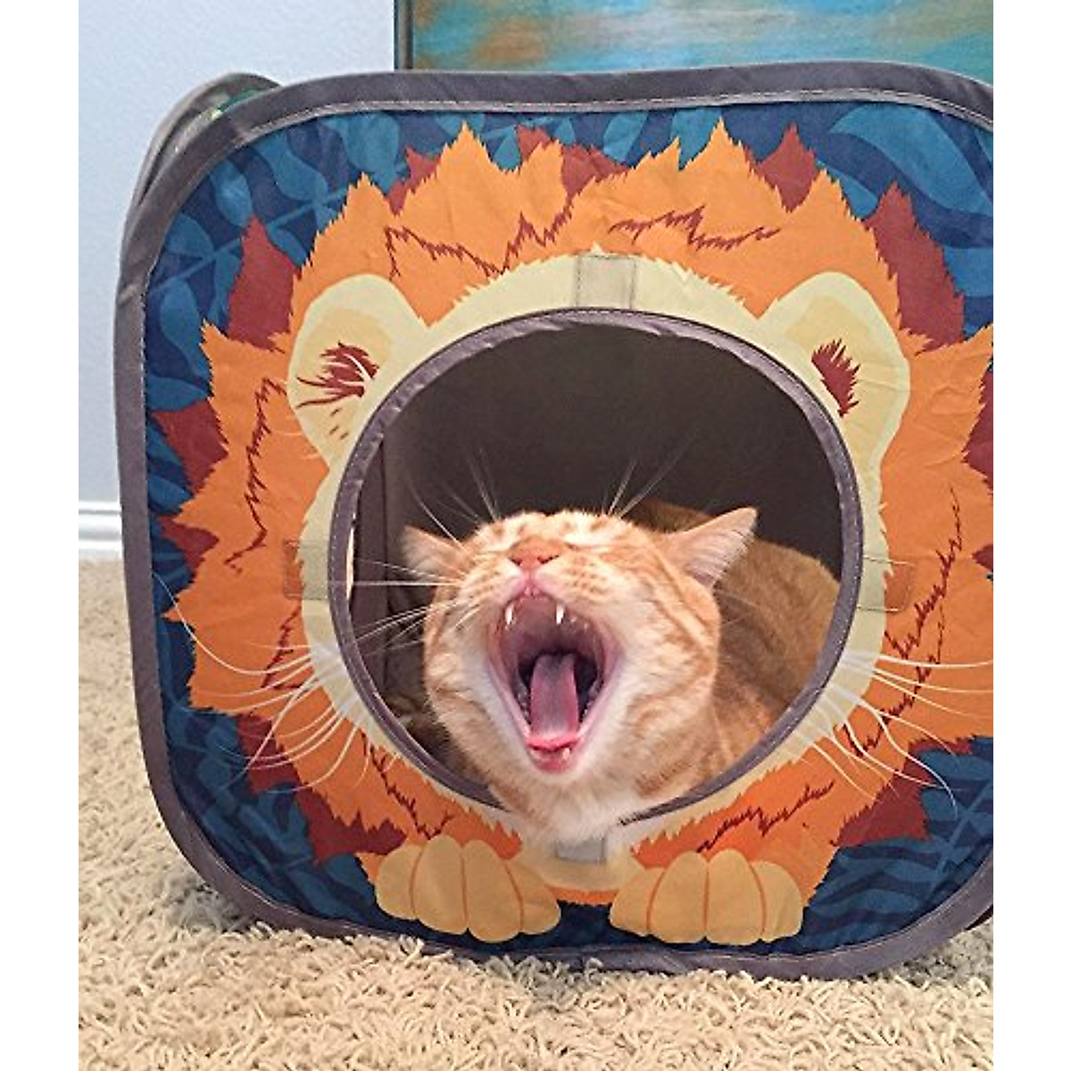 Kitty City Pop Open Jungle Combo,Collapsible Cat Cube, Play Kennel, Cat Bed, Tunnel, Cat toys