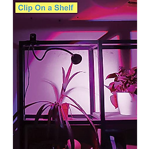 Aceple LED Small Grow Light, 6W Desk Plant Grow Light with Flexible Gooseneck Arms and Spring Clamp for Hydroponic Indoor Planting, Potted Plants, Garden Greenhouse