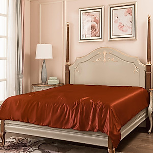 PROMEED Real Silk Queen Duvet Cover with Coner Tie, Both Sides 23 Momme Mulberry Silk, Soft Quilt Cover 1pc with Zipper Closure (Dusk, Queen)