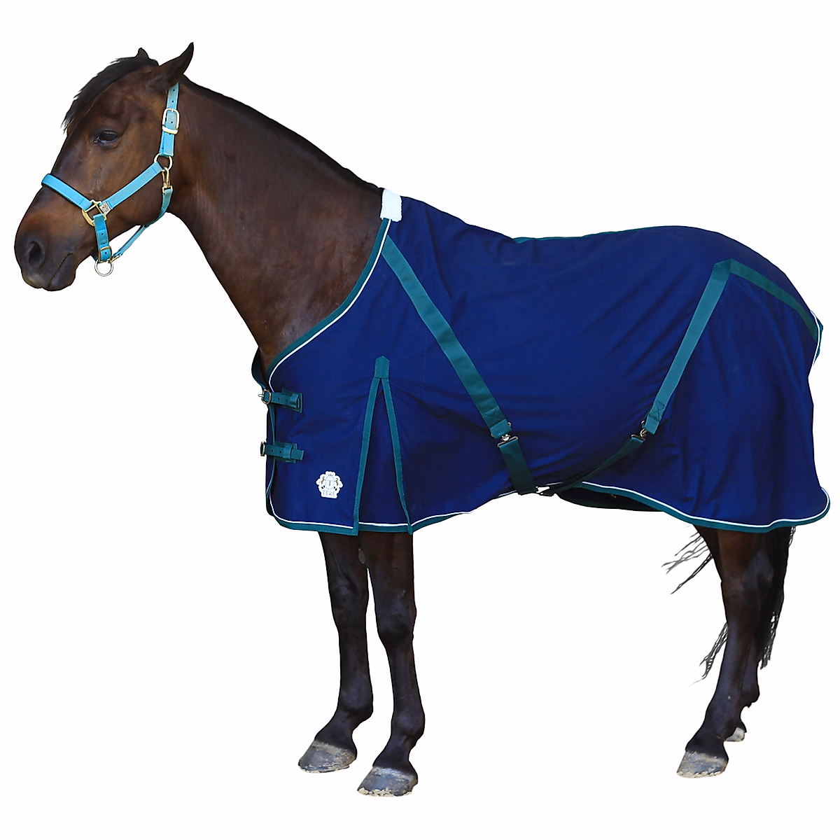 T TEKE Deluxe Horse Canvas Sheet for Snug and Clean in Stable, or as a Blanket Liner. (Size Range 51"-87" Including Mini Horse)