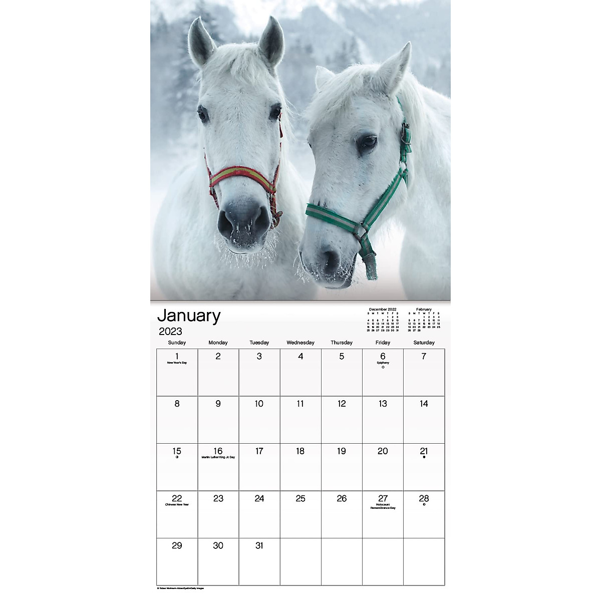 2023 Horses Mini Wall Calendar