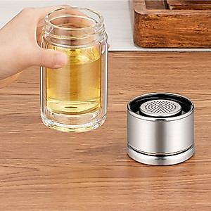 LeYin double wall glass water bottle, travel cup with filter screen, tea and water separation cup for fruit loose leaf tea and cold brewing coffee (silver)