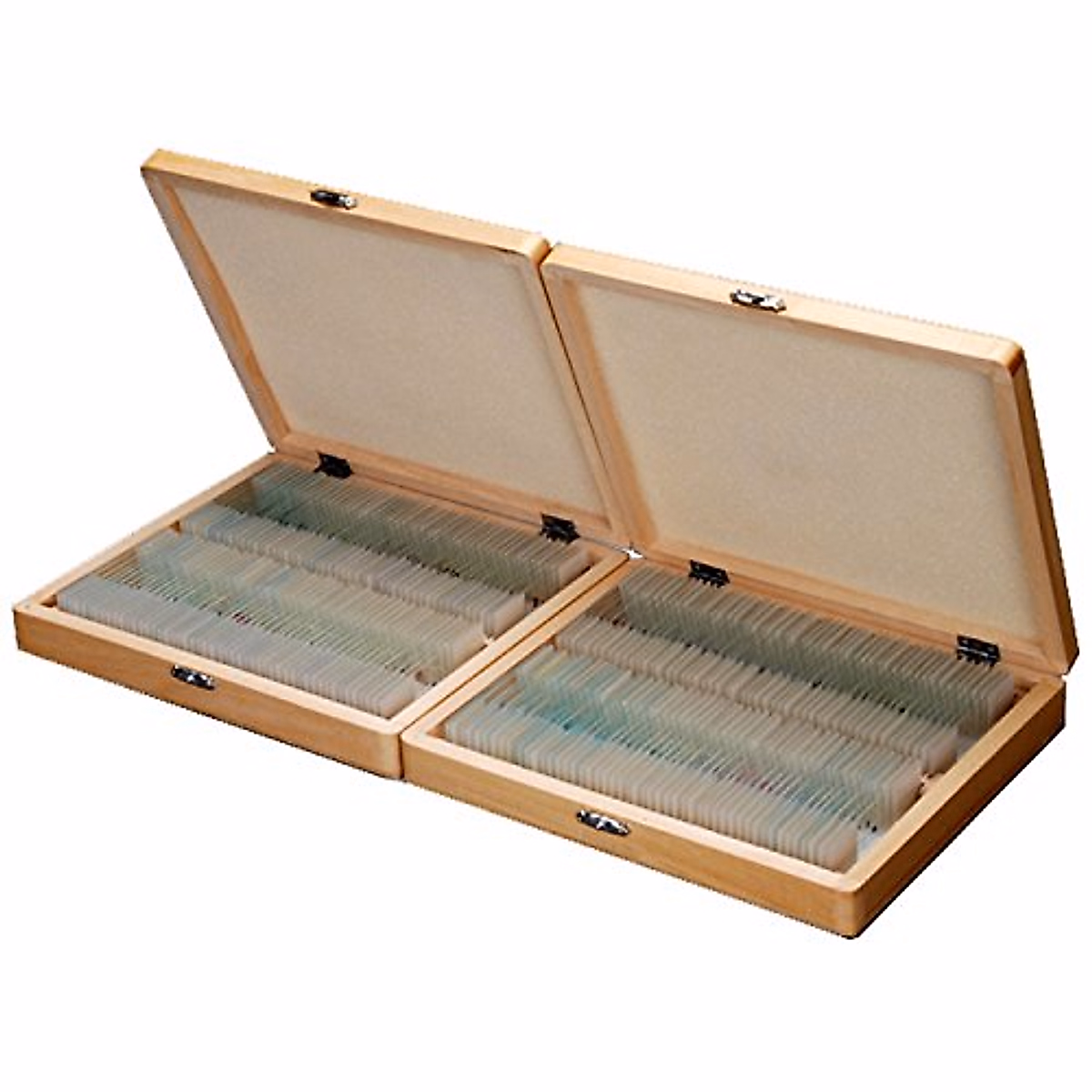 AmScope PS200 Basic Biology Prepared Slide Set for Student and Homeschool Use, Set of 200 Prepared Glass Slides, Includes Fitted Wooden Storage Box