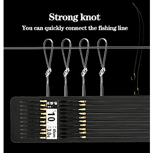 LNOJENR Fishing Hooks with Line, Strong Sharp Double Hook Rigs with Barbs, Pre Tied Fish Hooks Already Tied‑in Fishing Wire/Leader, Black Gold Fish Hook for Freshwater/Seawater (20 PCS), Medium, D10
