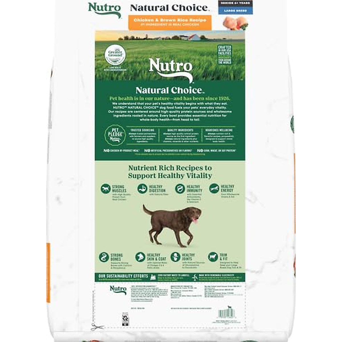 NUTRO NATURAL CHOICE Large Breed Senior Dry Dog Food, Chicken & Brown Rice Recipe Dog Kibble, 30 lb. Bag