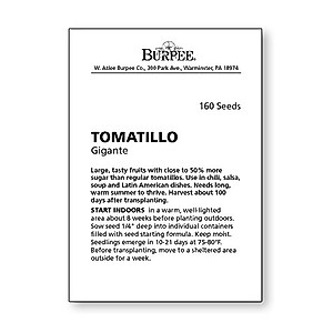 Burpee Gigante Tomatillo Seeds 160 seeds