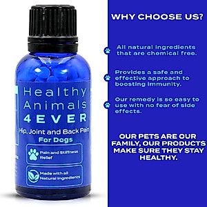 Healthy Animals 4 Ever Arthritis Remedy for Dogs - Restore Energy & Vitality - Support Hip & Joint Health - Minimize Pain - All-Natural, Non-GMO, Organic - Preservative & Chemical Free - 300 ct