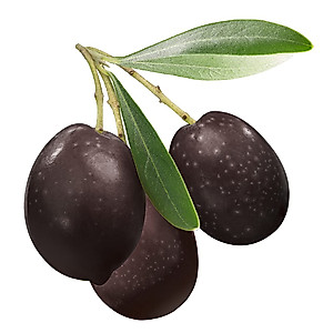 Olive Tree Seeds for Planting | 25 Seeds | Olea europaea