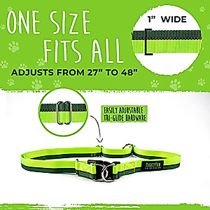 Mighty Paw Hands Free Bungee Leash 2.0 | 4’ Dog Lead W/Dual Padded Traffic Handles for Running, Hiking & Jogging. Wearable Belt (27-48” Waistband) W/ 2 Attachment Loops. Pets Up to 150lb (Green)