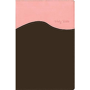 NIV, Gift Bible, Leathersoft, Pink/Brown, Red Letter Edition