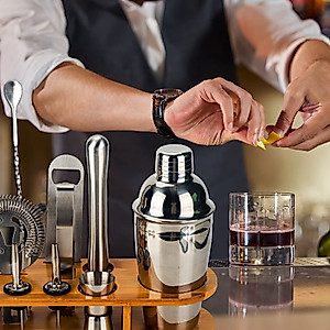 Cocktail Shaker Set Bartender Kit - 10-Piece Bar Tool Set with Bamboo Stand for Drink Mixing, Perfect Drink Mixer for Cocktail Bartending Kit for Bar, Home, Lounge & Party