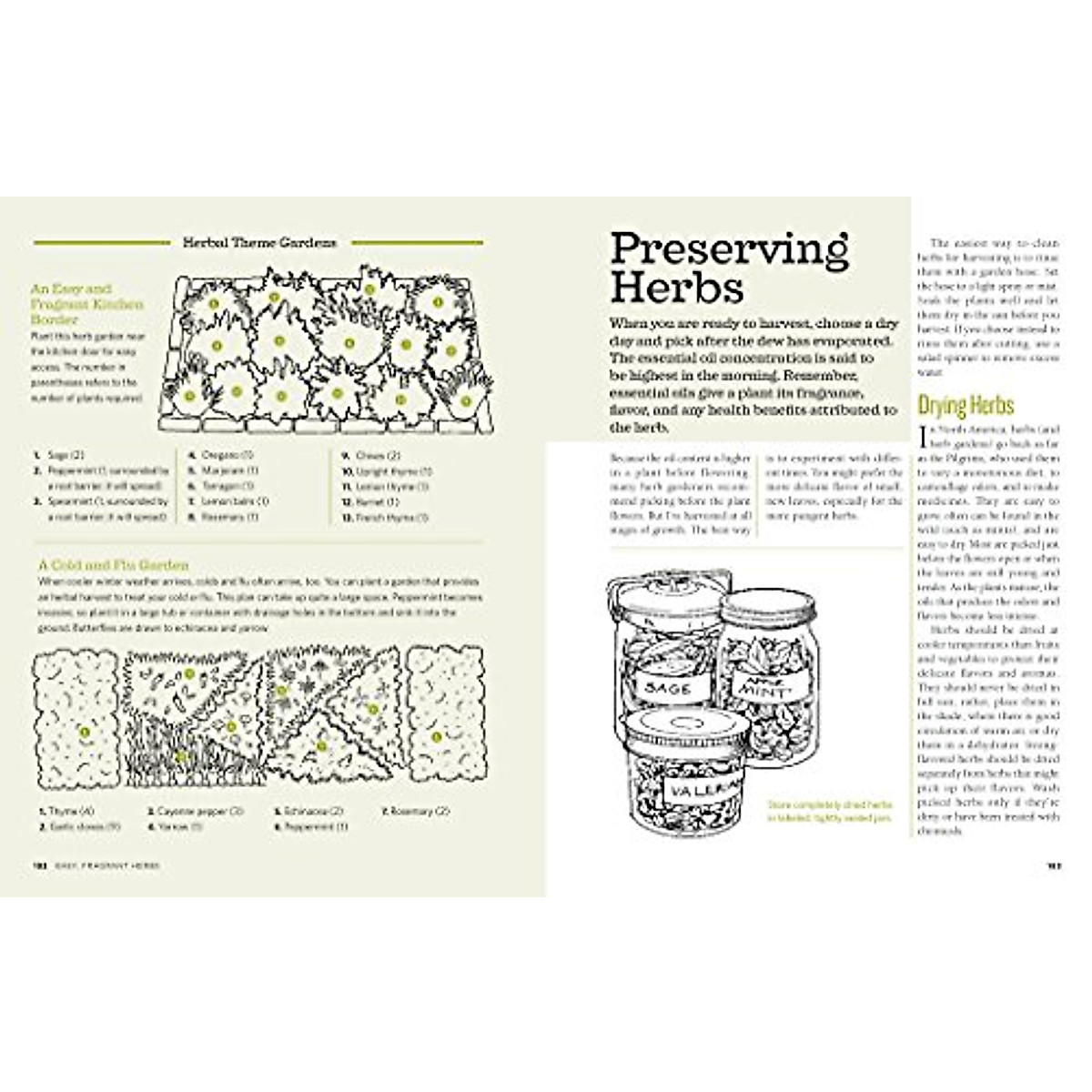 The Backyard Homestead: Produce all the food you need on just a quarter acre!