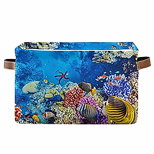 Meetutrip Rectangular Storage Bin Cube Tropical Fish Starfish Foldable Organizer Basket with Handles, Ocean Underwater Collapsible Storage Box for Kids Toy Shelf Closet Nursery