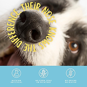 hotspot pets All Natural Rawhide Alternative Chicken Sticks for Dogs (30 Pack) Digestible Dog Chews Treats -Great for Oral Care Snacks (6'' Sticks)