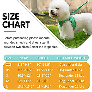 TomteNisse Dog Harness and Leash Set, No Pull Pet Harness for Small Dogs Easy Walking,Soft Breathable Small Dog Harness,Adjustable Reflective Step in Vest Harness for Puppy,Kitten, Cats