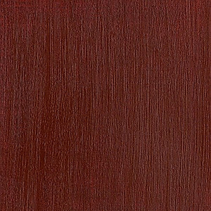 Winsor & Newton Professional Acrylic Paint, 60ml (2-oz) Tube, Burnt Sienna