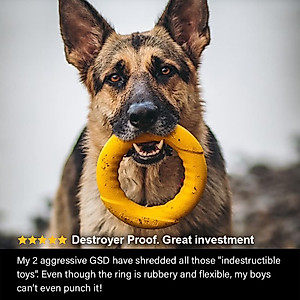 BULLTUG - Chew Ring & Fetch Ball Combo for Aggressive Chewers | Heavy-Duty, Ultra-Durable Natural Rubber, Tough Dog Toys for Medium to Large Breeds