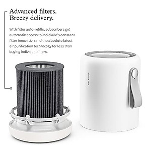 Molekule Air Mini - FDA-Cleared Medical Air Purifier with PECO Technology for Allergens, Pollutants, Viruses, Bacteria, and Mold, White