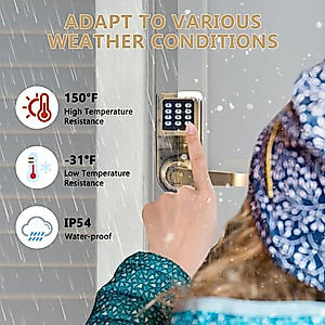 GOODUM Door Locks with Handle, keyless Door Locks, biometric Locks, Numerical keypad Door Locks, keypad Locks with Handle