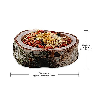 Living World Green Snack Bowl, 2-in-1 Snack Feeder and Chew Toy for Small Animals, Vegetable Medley