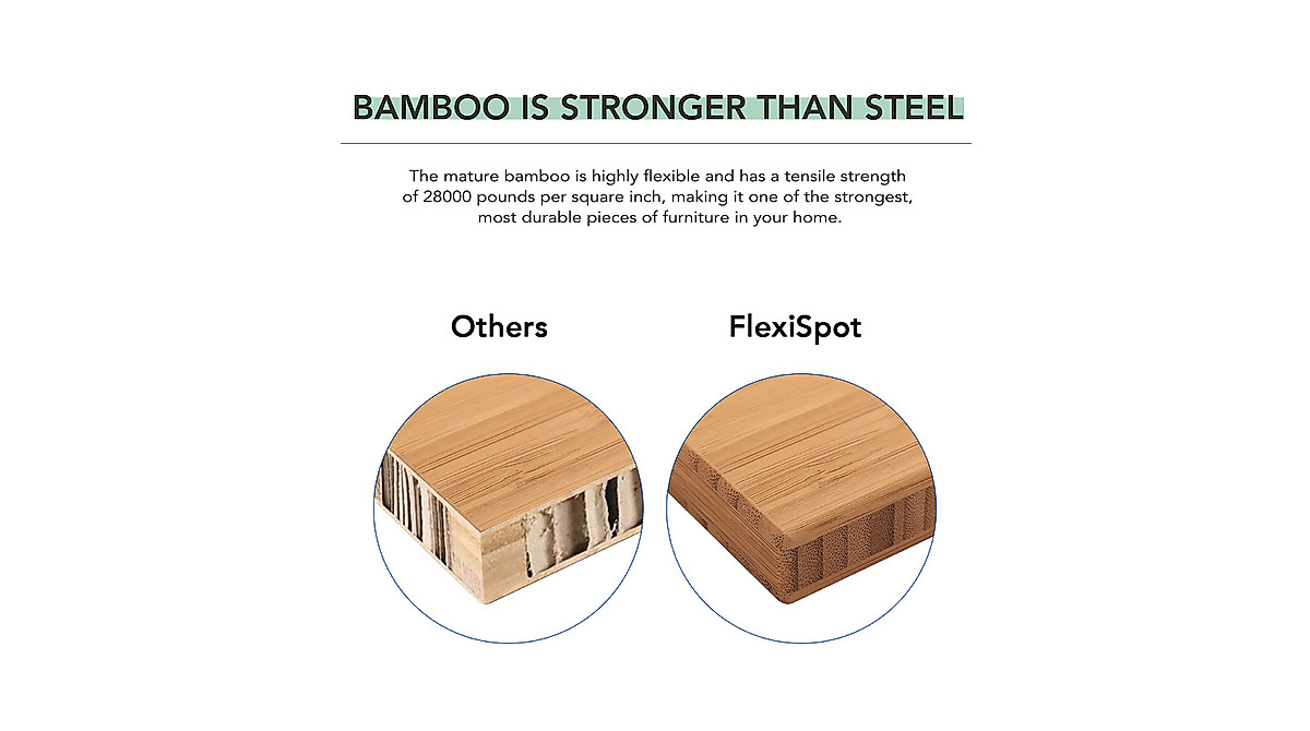 FLEXISPOT Pro Bamboo Electric Standing Desk - 55x28