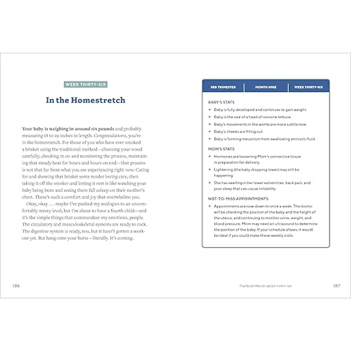 We're Pregnant! The First Time Dad's Pregnancy Handbook