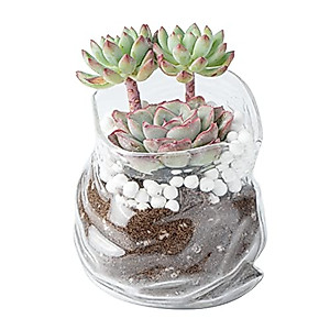 8 Ounce Glass Zipper Bag, 1 Small Glass Bag - Realistic Crinkled Edges, Serve Candy, Popcorn, or Nuts, Clear Glass Bag Bowl, Dishwashable, Flat Base - Restaurantware.