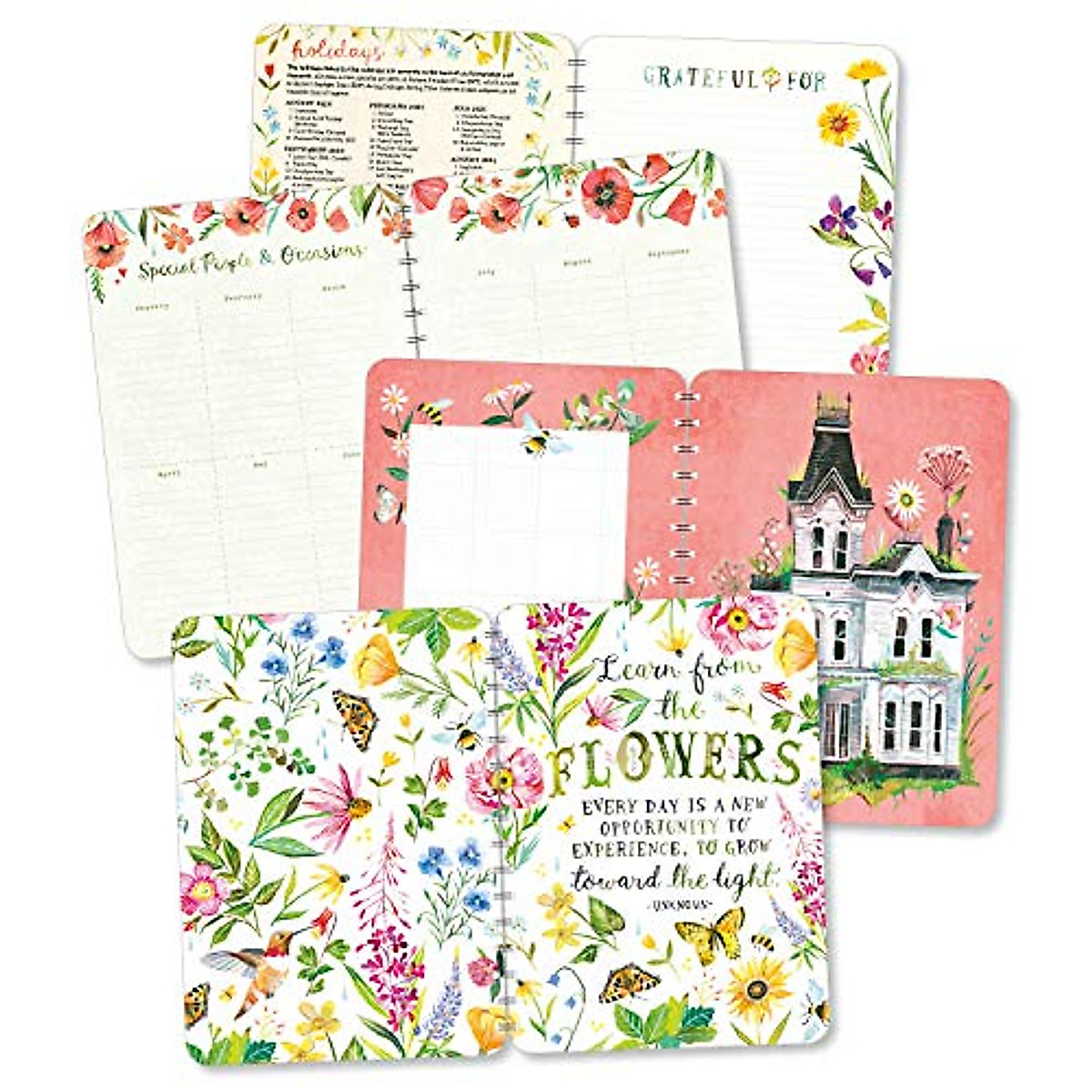 Katie Daisy 2021 On-the-Go Weekly Planner: 17-Month Calendar with Pocket (Aug 2020 - Dec 2021, 5" x 7" closed): Hello Beauty