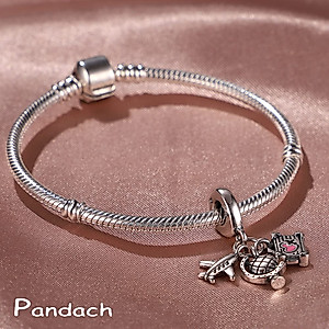 Pandach 925 Sterling Silver Charms for Bracelets Necklace with 5A CZ Stones Dangle Pendant Bead Jewelry Beads Gifts for Women