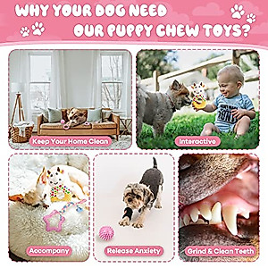 AXIIJGL 5 Pack Puppy Chew Toys Pink Puppy Rubber Teething Toys Girl Dog Toys for Small Breed Dogs Squeaky Plush Teething Cleaning Toys for Puppies Doggie Toys for Puppy Pet Toys for Small Dogs
