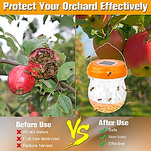 Wasp Traps Outdoor Hanging, Yellow Jacket Wasp Catcher for Trapping Hornet, Non-Toxic Reusable Wasp Catcher for Outdoors Trapping Wasp, Wasp Trap Solar Power Outdoor with LED Light,2P-Orange