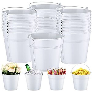 Rtteri 24 Pcs Metal Bucket, Small Metal Bucket, Party Favor Buckets with Handle, 6 x 5 Inch Ice Bucket for Kids, Flower Pot Plant Basket, Mini Toy Containers for Crafts Candy (White)