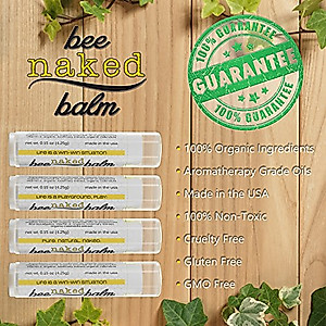 BeeNakedBalm Organic Lip Balm - Mint Lover's Variety 4 Pack - 100% Natural, 100% USA-Made, Gluten Free, Buttery Smooth Recipe - Peppermint, Spearmint & Eucalyptus Mint Flavors plus a FREE Cotton Pouch