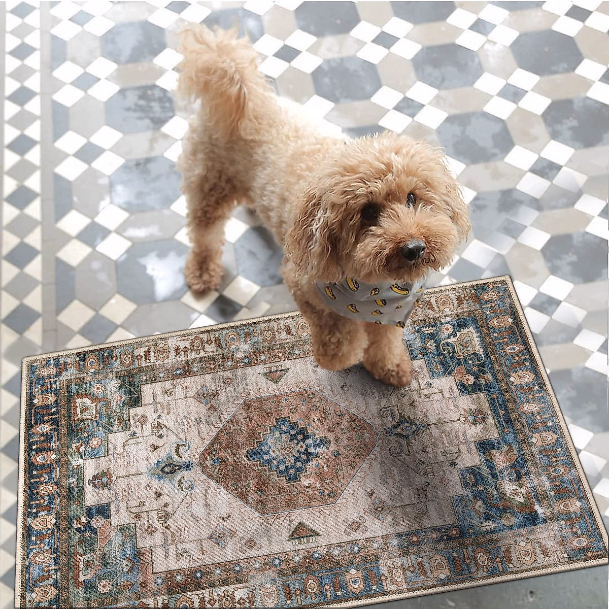 Collive Washable Indoor Doormat, Non Slip Retro Floor Mat 20" x 32" Area Rug Quick Absorbent Entrance Rug Distressed Front Door Mat, Welcome Mats Entryway Rug Doormats for Kitchen Home Patio