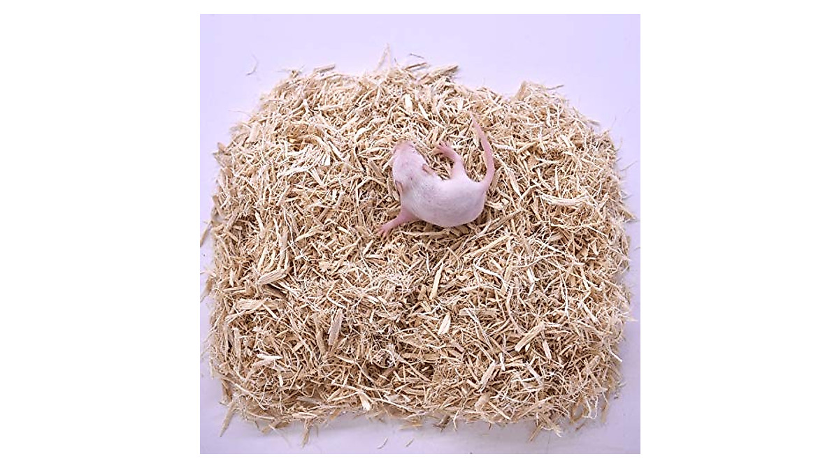 MiceDirect Frozen Small Fuzzie Mice for Snakes - 20 Pack