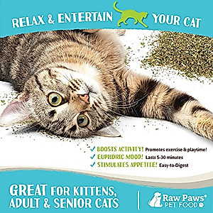 Raw Paws Natural Catnip for Cats, 1-oz - Use for Refillable Catnip Toys for Cats - Catnip Treats for Cats - Catnip for Dogs - Cat Nip Cat Grass - Dog Catnip - Dried Catnip Leaves & Seeds