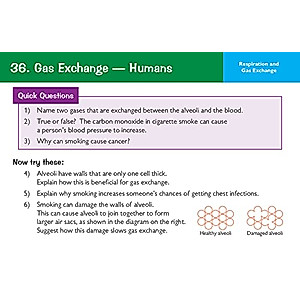 New Grade 9-1 Edexcel International GCSE Biology: Revision Question Cards (CGP IGCSE 9-1 Revision)