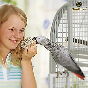 SunGrow Popcorn Ball for Birds, Willow Wicker Vine Rattan Ball, Cage Accessory Hang with String or Wire