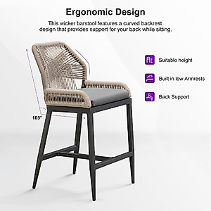 PURPLE LEAF Patio Sunbrella Counter Height Bar Stools 24" H Set of 2 Modern Rattan Bar Chairs Aluminum Stool Outdoor Wicker Barstools with Back and Cushion for Garden Kitchen Island