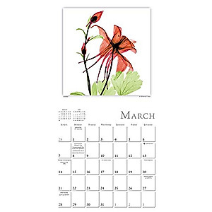 2021 Flower Spirits Radiographs of Nature by Steven N. Meyers Mini Calendar